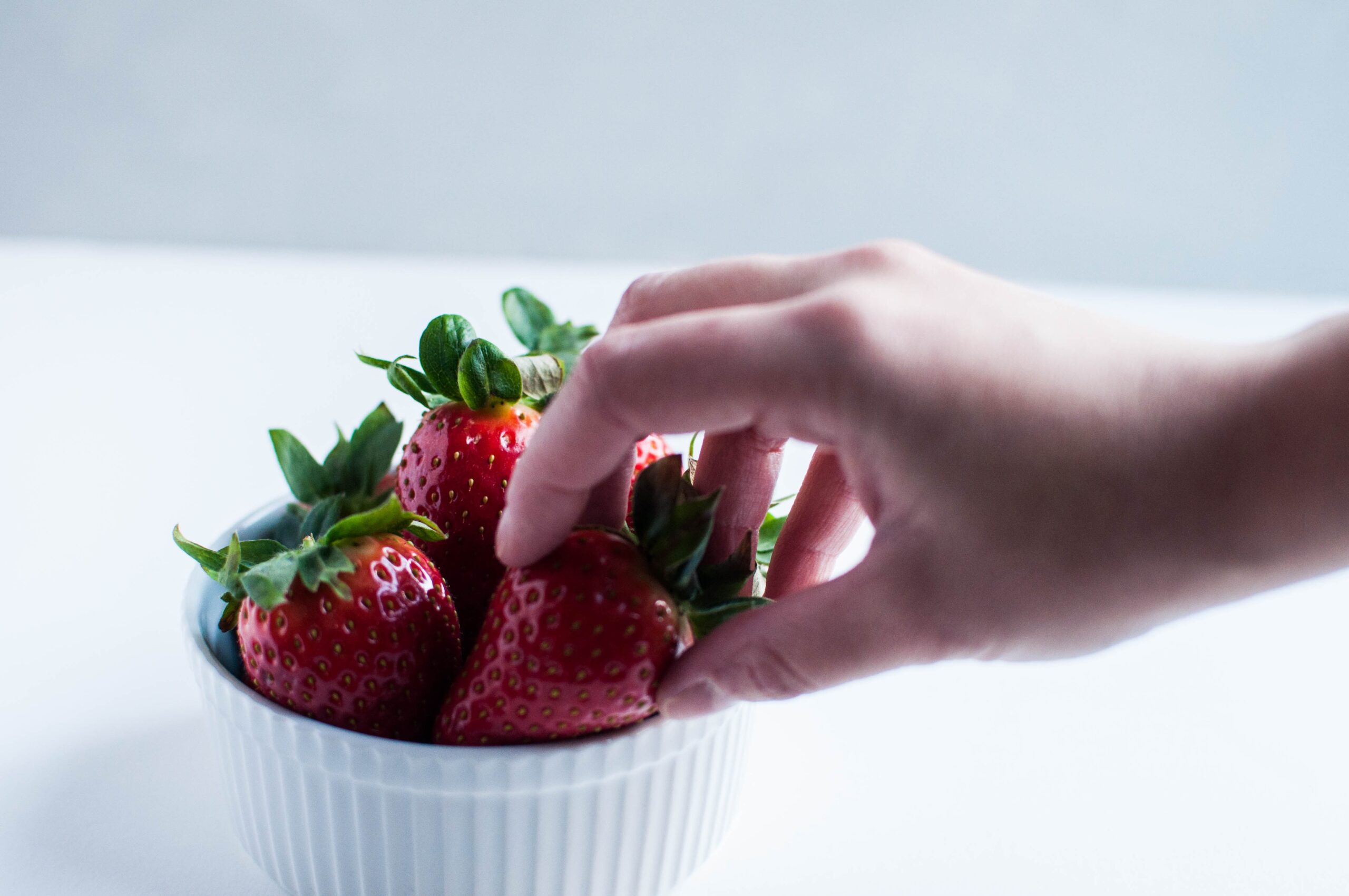 Checkup Igiene Alimentare HACCP - CEDFOR